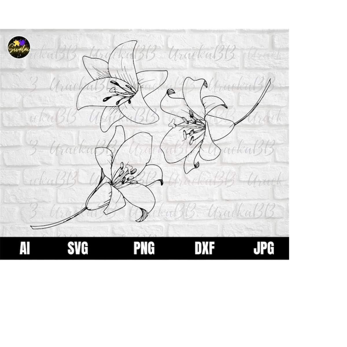 Lily Flower Svg, Flower Cut File, Flower Clipart, Lilly Flow | Inspire ...
