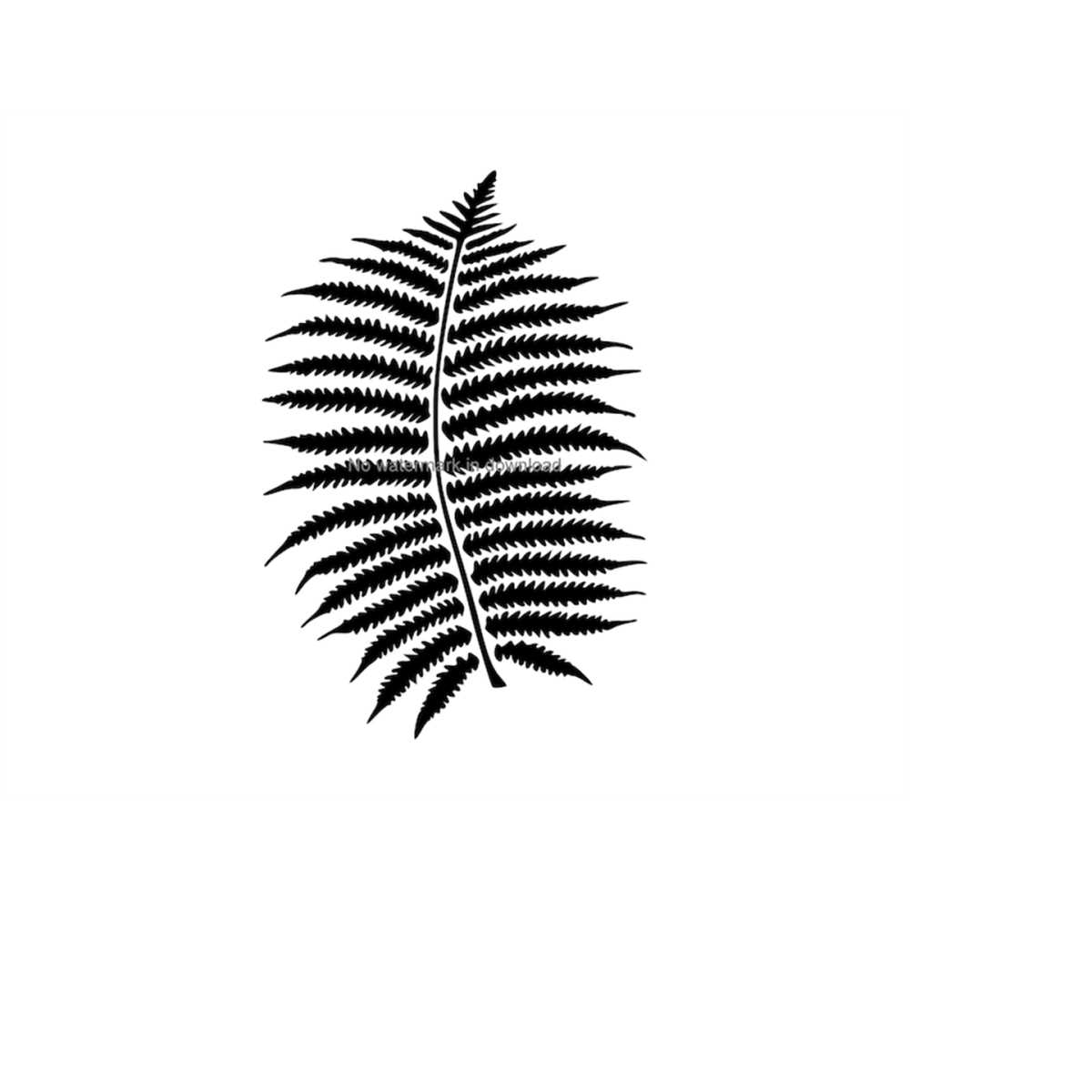 Fern Leaf Silhouette Svg, Fern Leaf Svg Cutting File, Fern L - Inspire ...