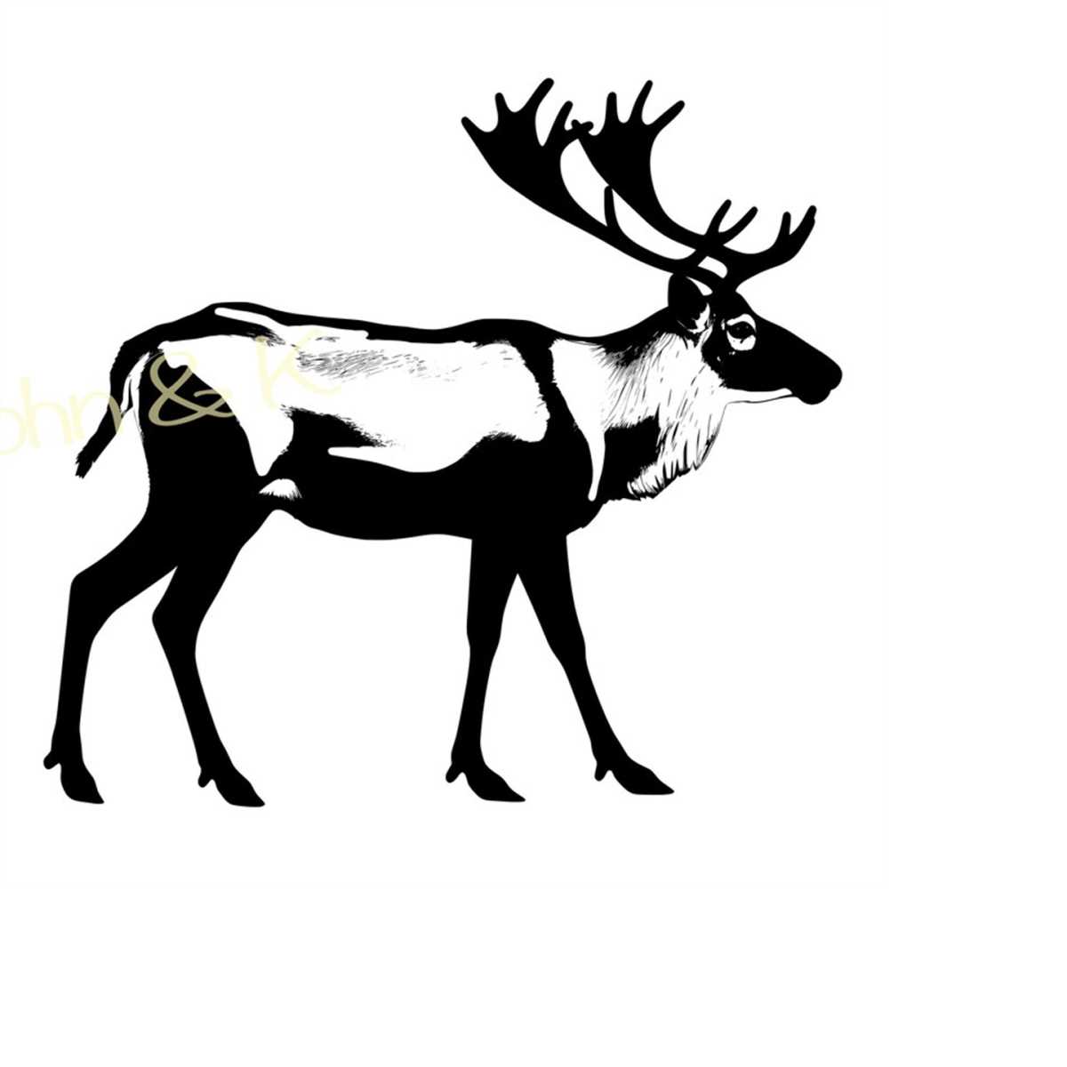 Caribou Svg, Caribou vector, Reindeer svg, Caribou Clipart, - Inspire ...