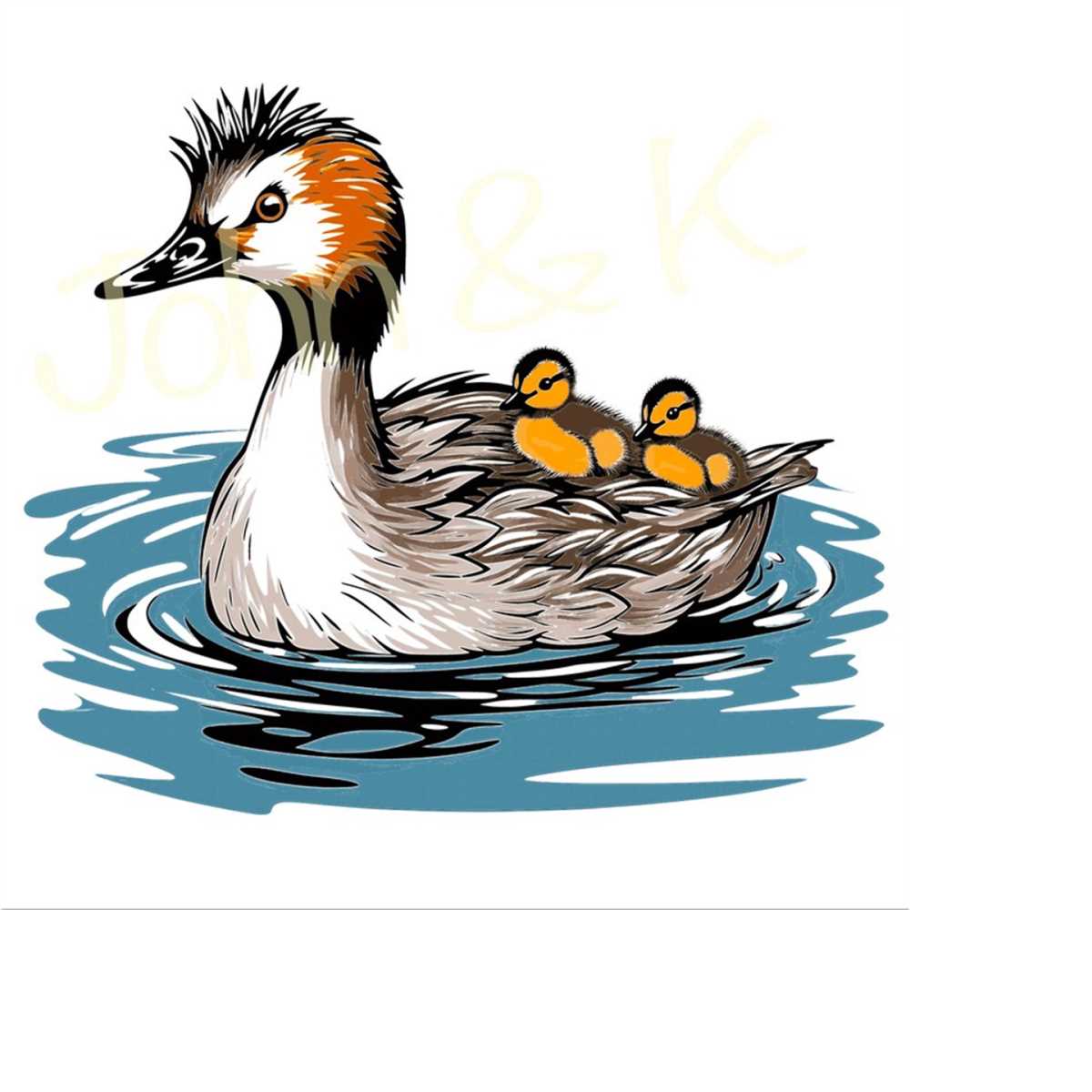 Grebe Svg, New Zealand Grebe Svg, Cute Grebe vector, Bird lo - Inspire ...