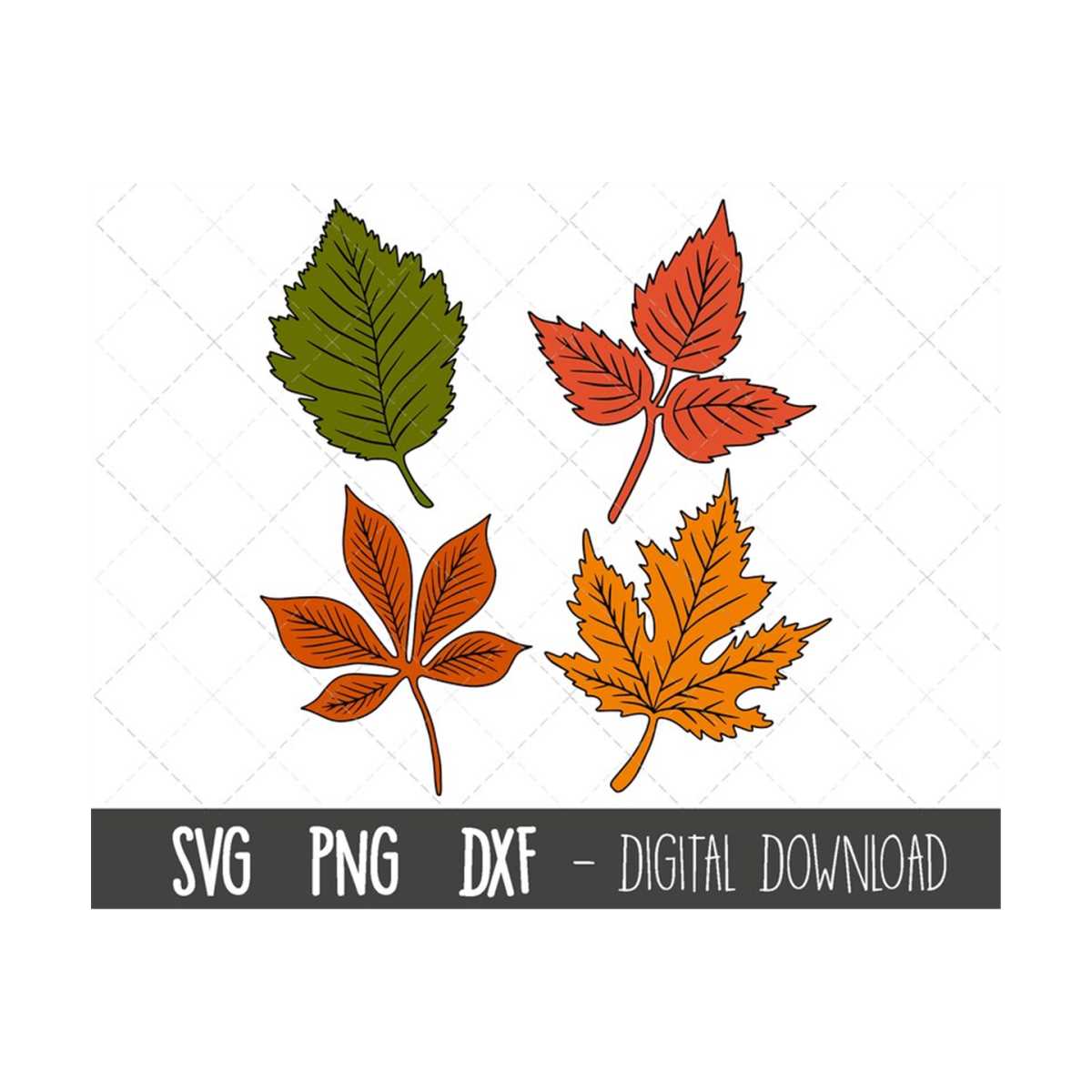 Fall leaves SVG, autumn leaves svg clipart, leaves clipart b - Inspire ...