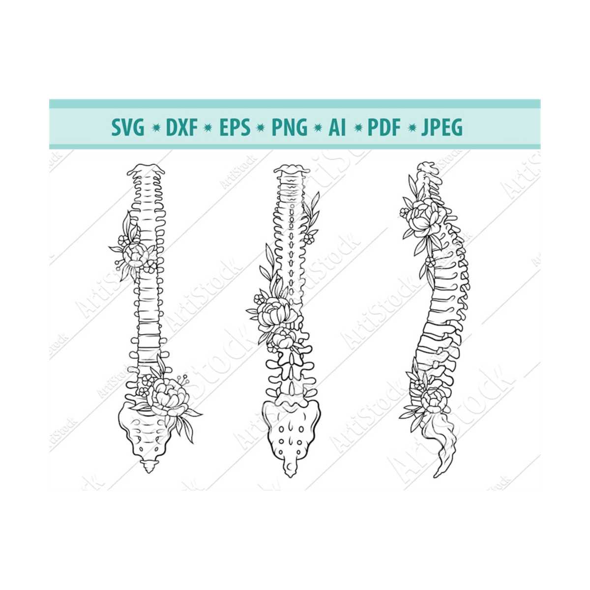 Spine Svg, Floral spine Svg, Human spine Svg, Spinal Cord Sv - Inspire ...