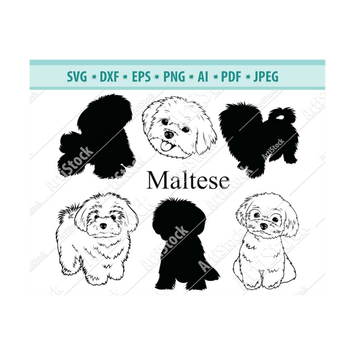 Maltese SVG, Maltese Silhouettes, Maltese, Dog Breeds SVG, D | Inspire ...