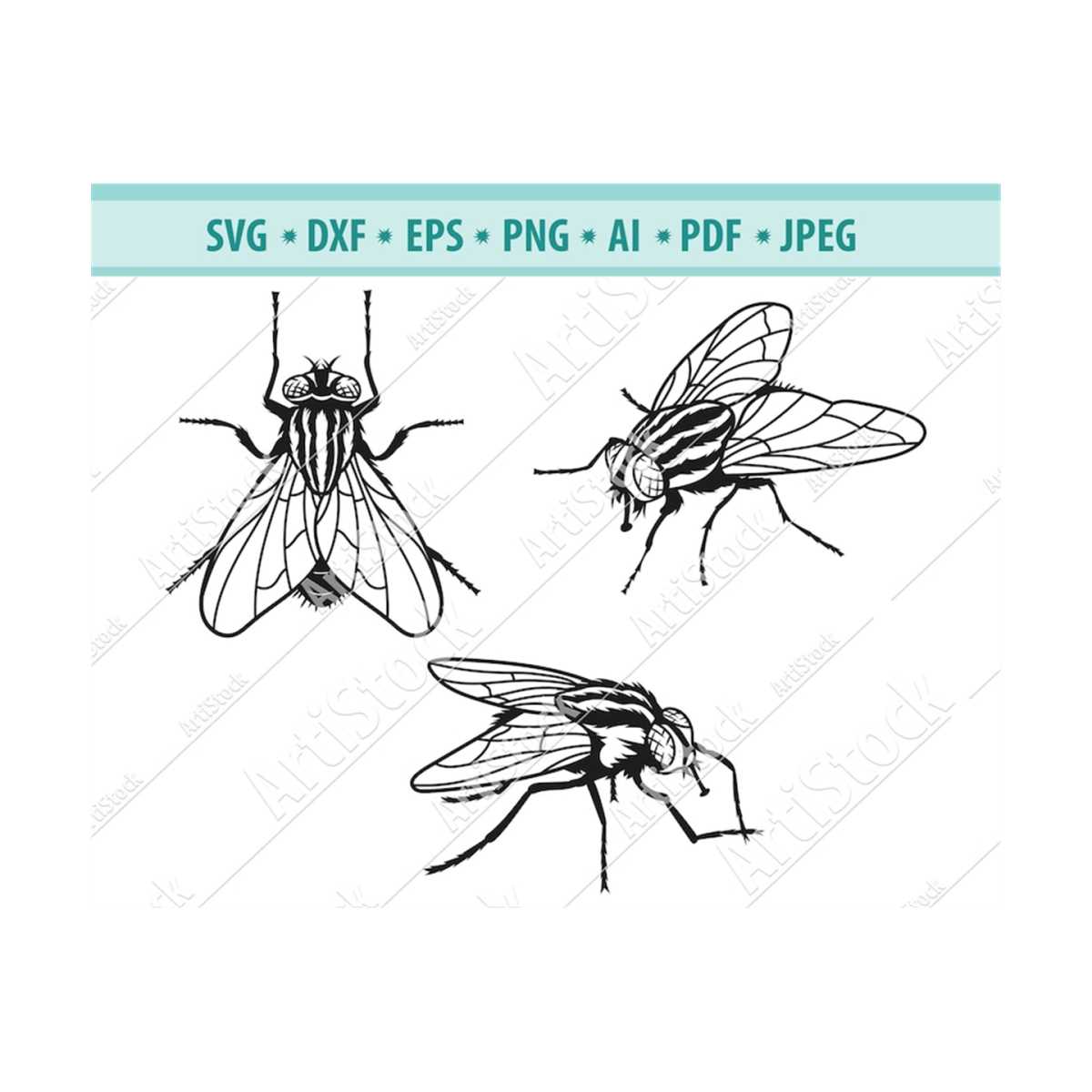 House fly Svg, Insect Svg, Fly Svg, Fly clipart, Flying inse - Inspire ...