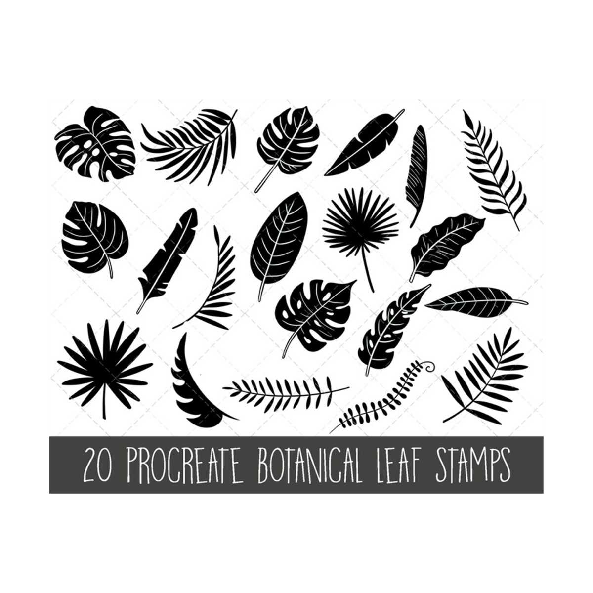Botanical leaves Procreate Stamps, Procreate stamp set, Proc | Inspire ...