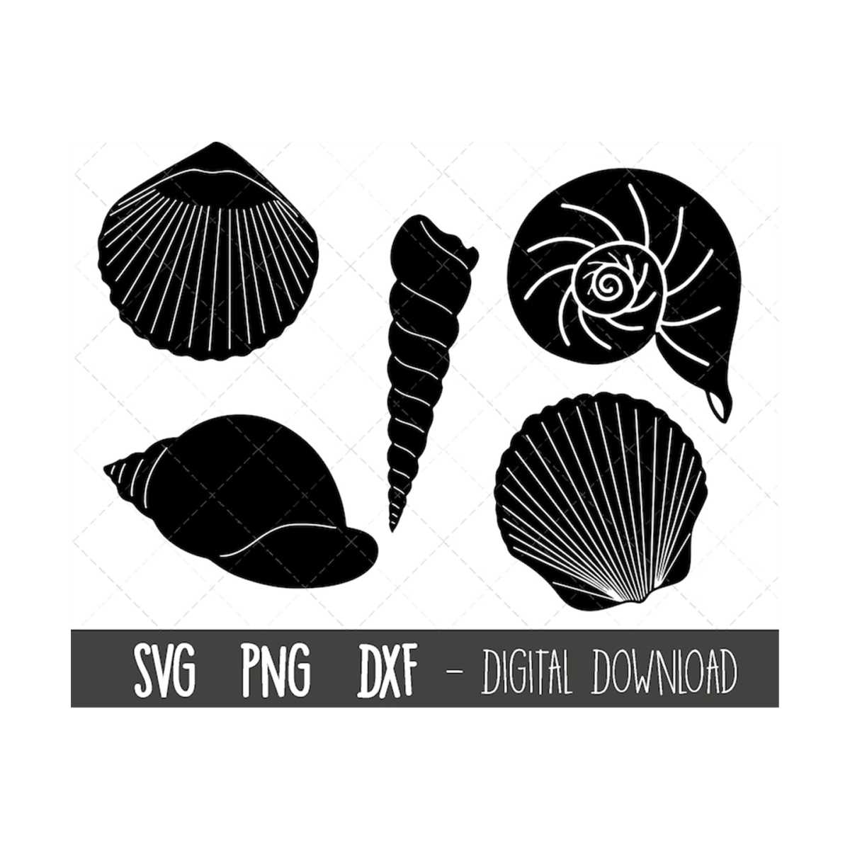Sea shell SVG bundle, seashell svg, shell svg, seashell PNG, | Inspire ...