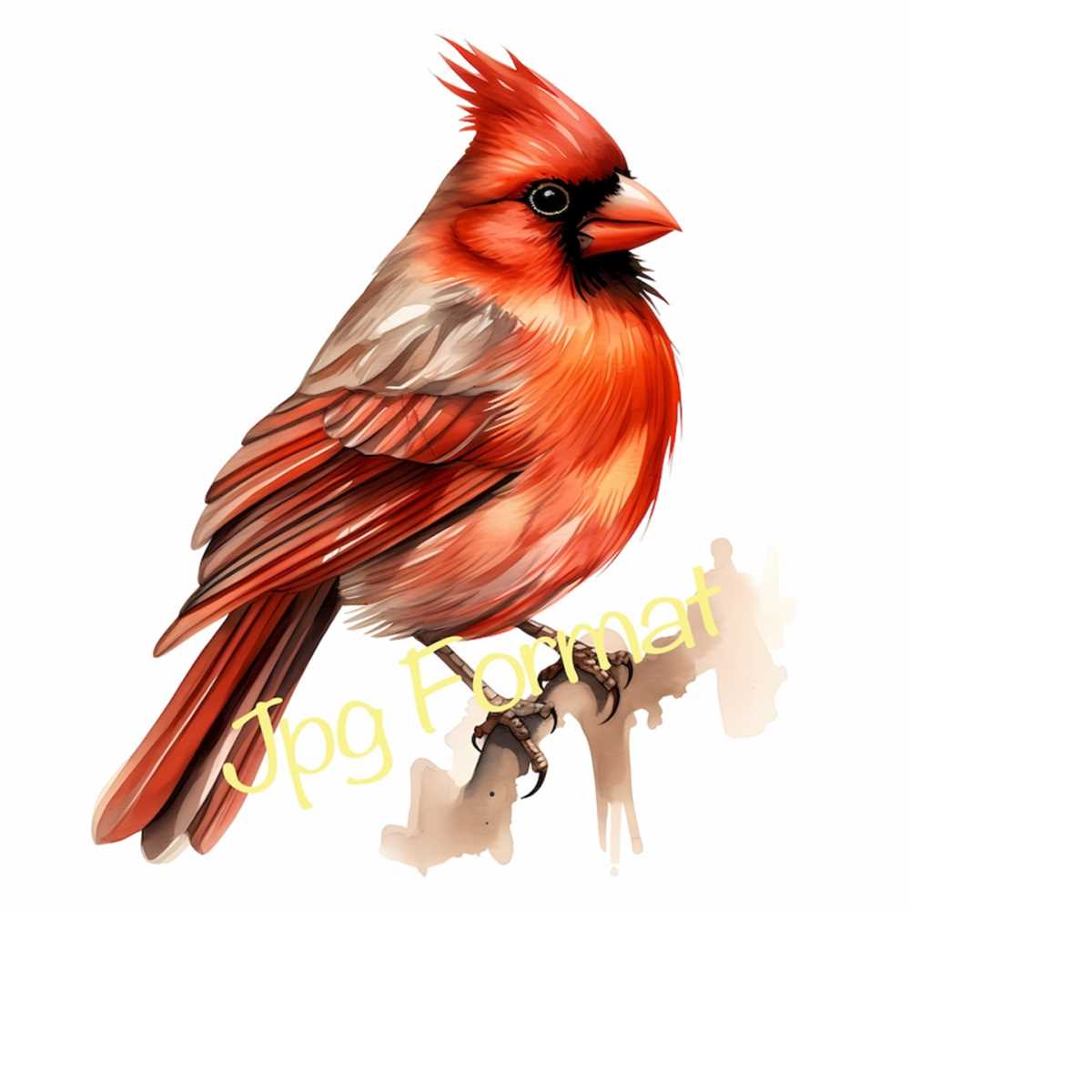 Northern cardinal Svg, watercolor wall art , pretty bird art | Inspire ...