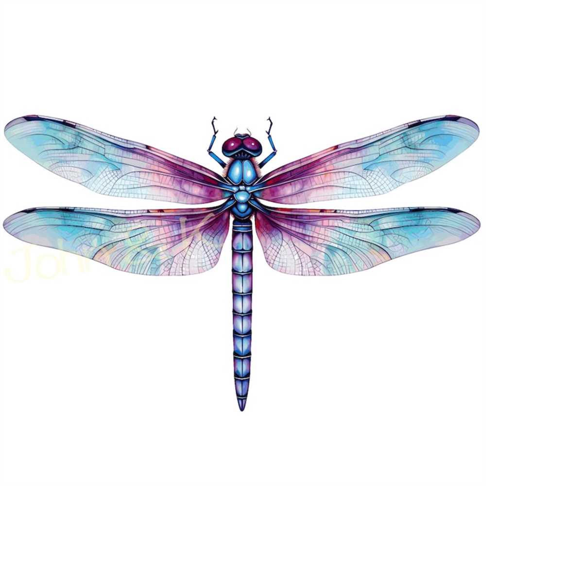 Dragonfly Svg, Dragonfly vector, fun bug art, Dragonfly Clip | Inspire ...