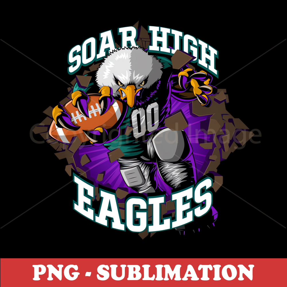 Philadelphia Eagles Football - Fly High with the Bird Gang - | Inspire ...