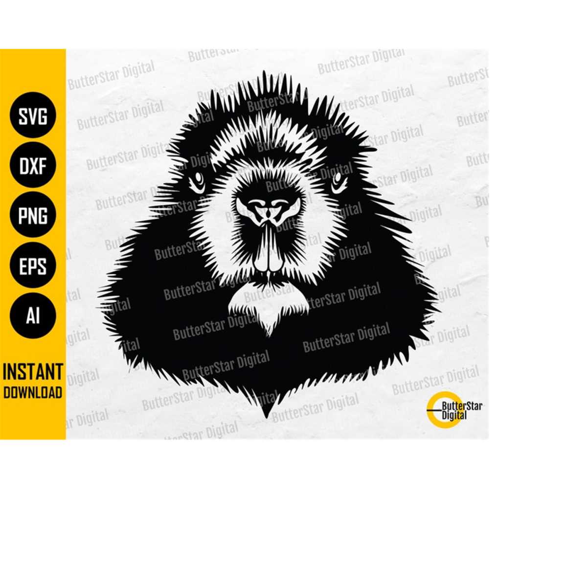 Groundhog Face SVG | Woodchuck SVG | Ground Hog Head Illustr | Inspire ...