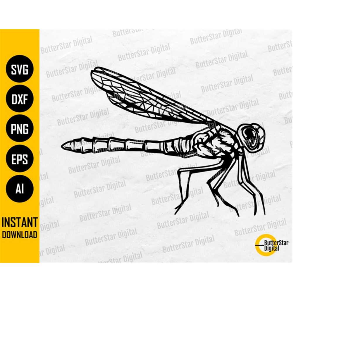 Dragonfly SVG | Insect SVG | Animal Drawing Illustration Gra | Inspire ...