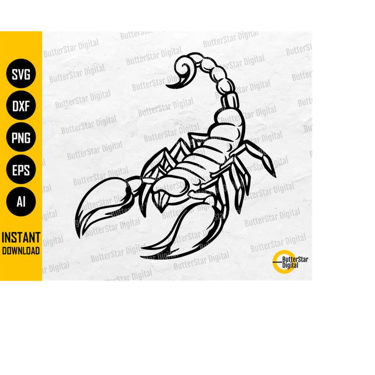 Scorpion SVG | Insect SVG | Bug Poison Venom Sting Arachnid - Inspire ...