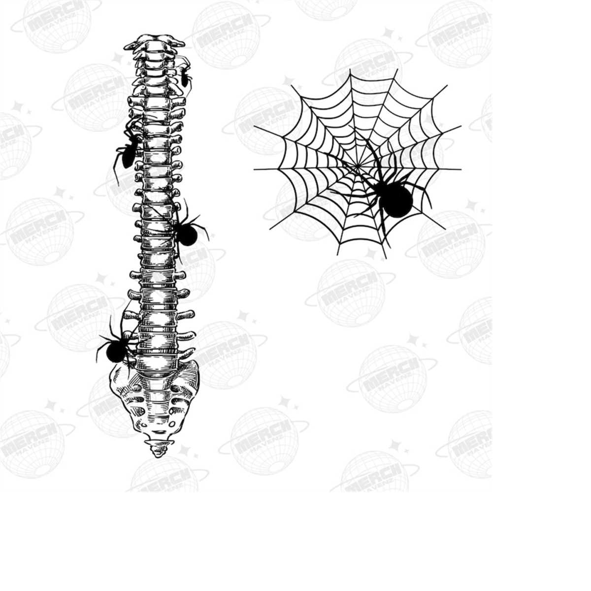 Spider Spine Png, Spooky Skeleton Png, Spooky Season Png, Sk - Inspire ...