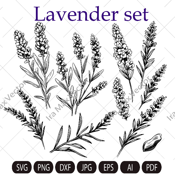 Lavender svg, Lavender svg file, Lavender cut file, Lavender | Inspire ...