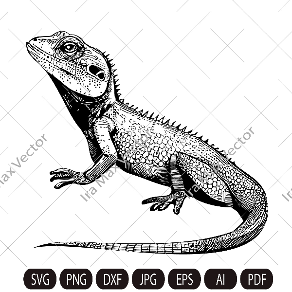 Cute lizard svg, lizard crawling, lizard face svg, iguana fa - Inspire ...