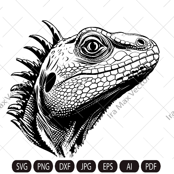 Iguana Reptile Dysfunction