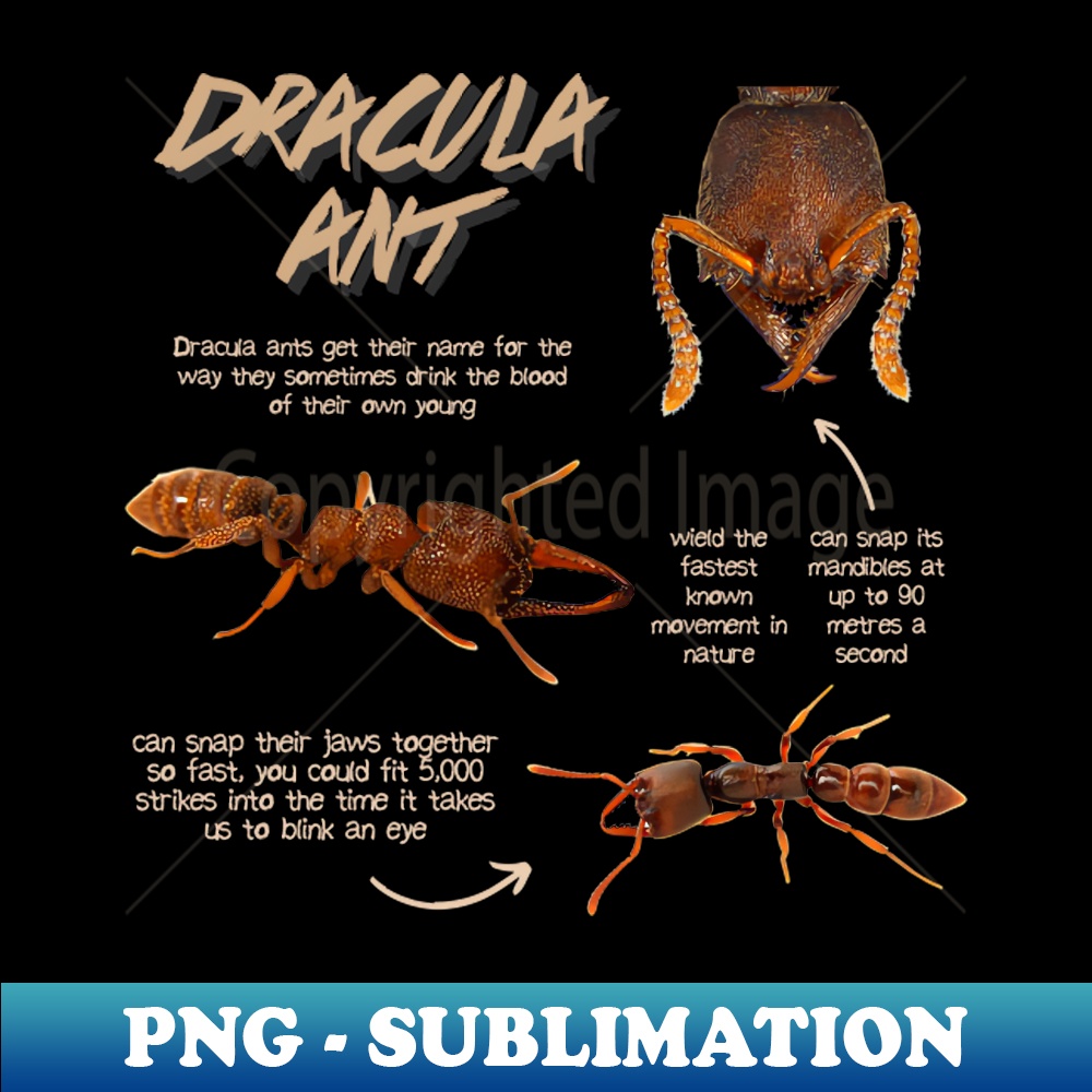Dracula Ant Sublimation Art - Stunning PNG Digital Download | Inspire ...