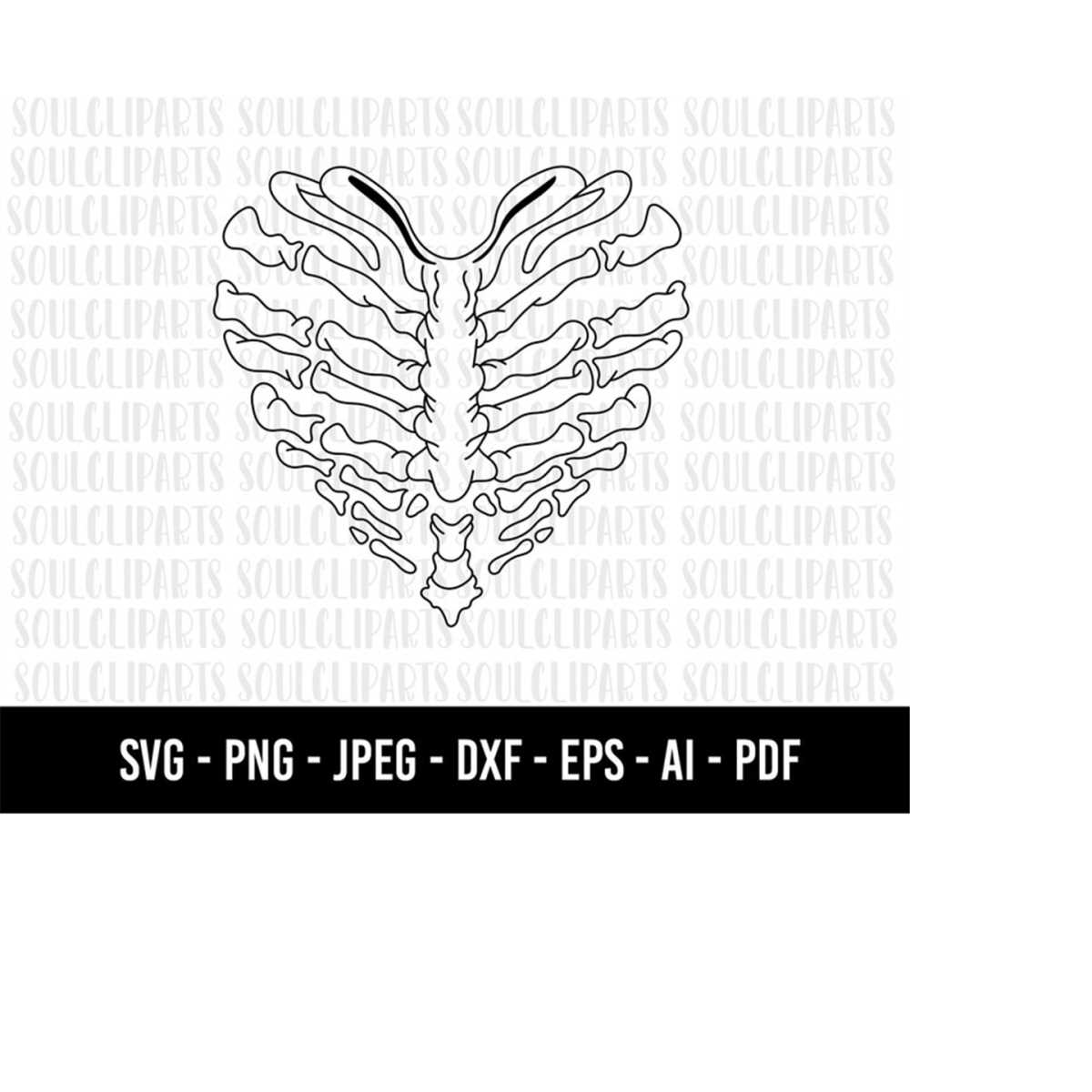 COD253 - Heart Rib Cage Svg, Human Skeleton Svg, heart clipa | Inspire ...