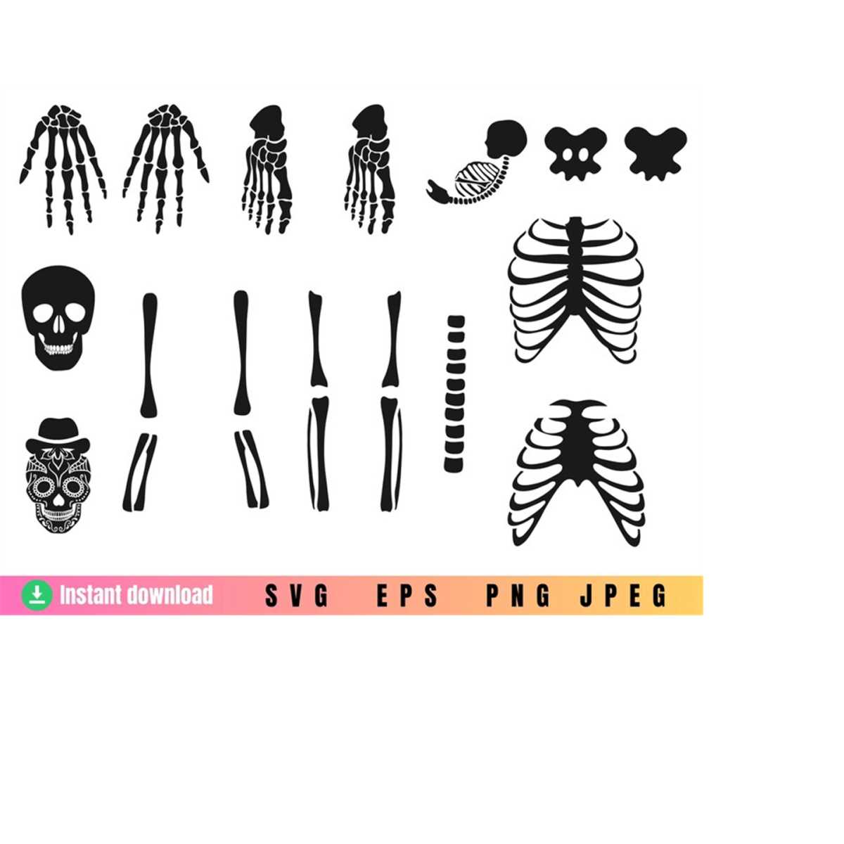Skeleton Kit SVG, Skeleton Parts SVG, Skeleton PNG, Skeleton - Inspire ...