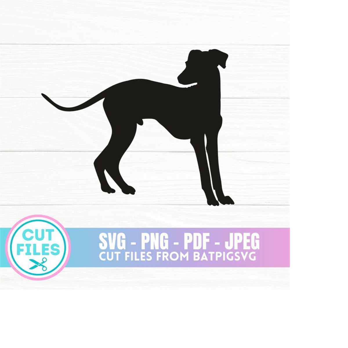 Italian Greyhound, Greyhound SVG, Dog Svg, Dog Silhouette, D - Inspire ...