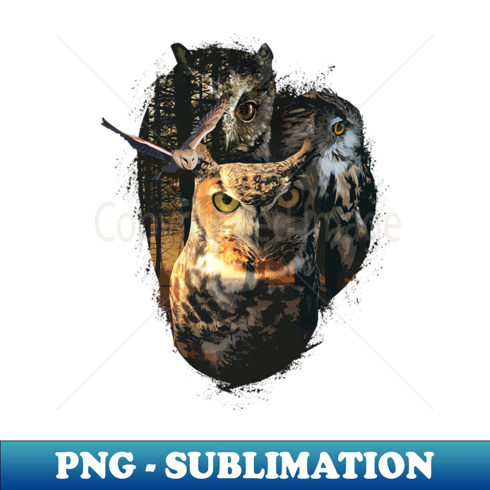 Forest Owl Master Wizzard Magician - PNG Transparent Sublima | Inspire ...