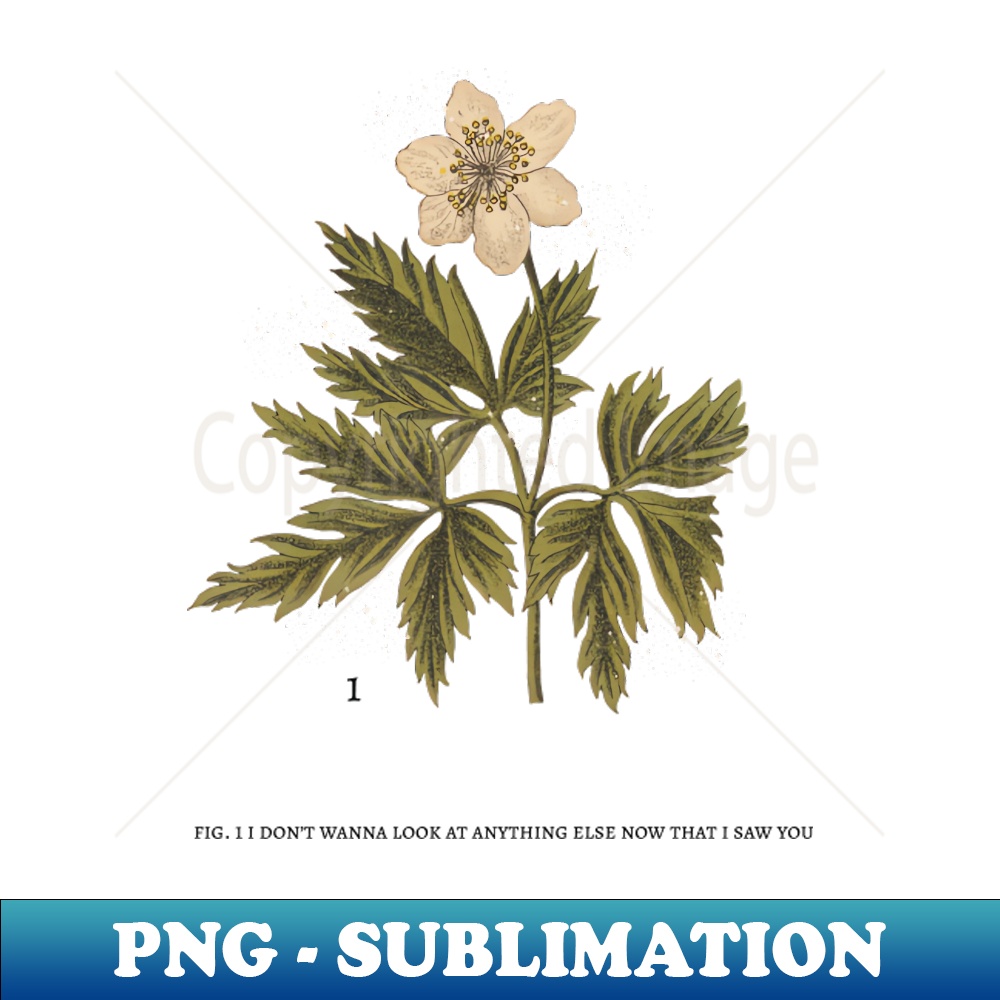Fig 1 Flower Taylor Swift Inspired Merch Art Print T-Shirt - - Inspire ...