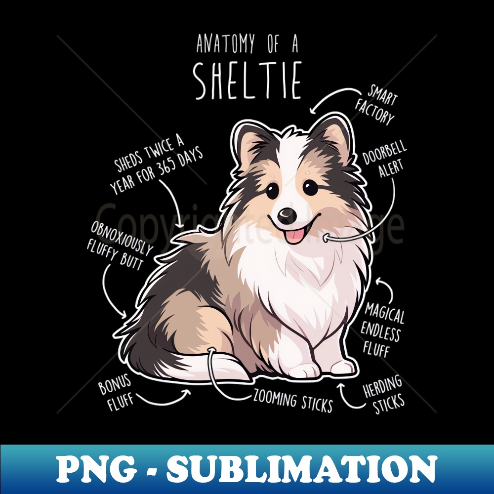 Sheltie Shetland Sheepdog Anatomy - Instant PNG Sublimation | Inspire ...