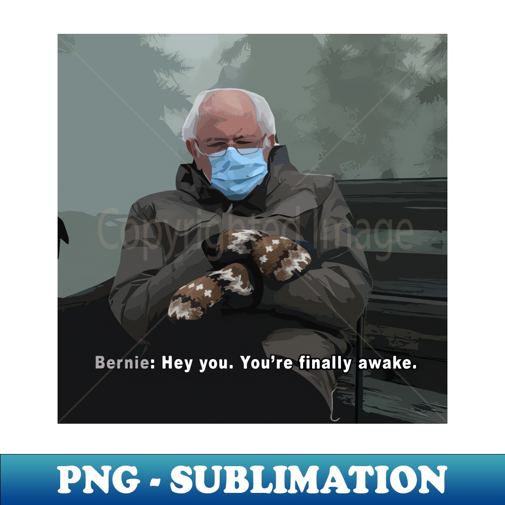 Hey you Youre finally awake Bernie Edition - PNG Transparent | Inspire ...