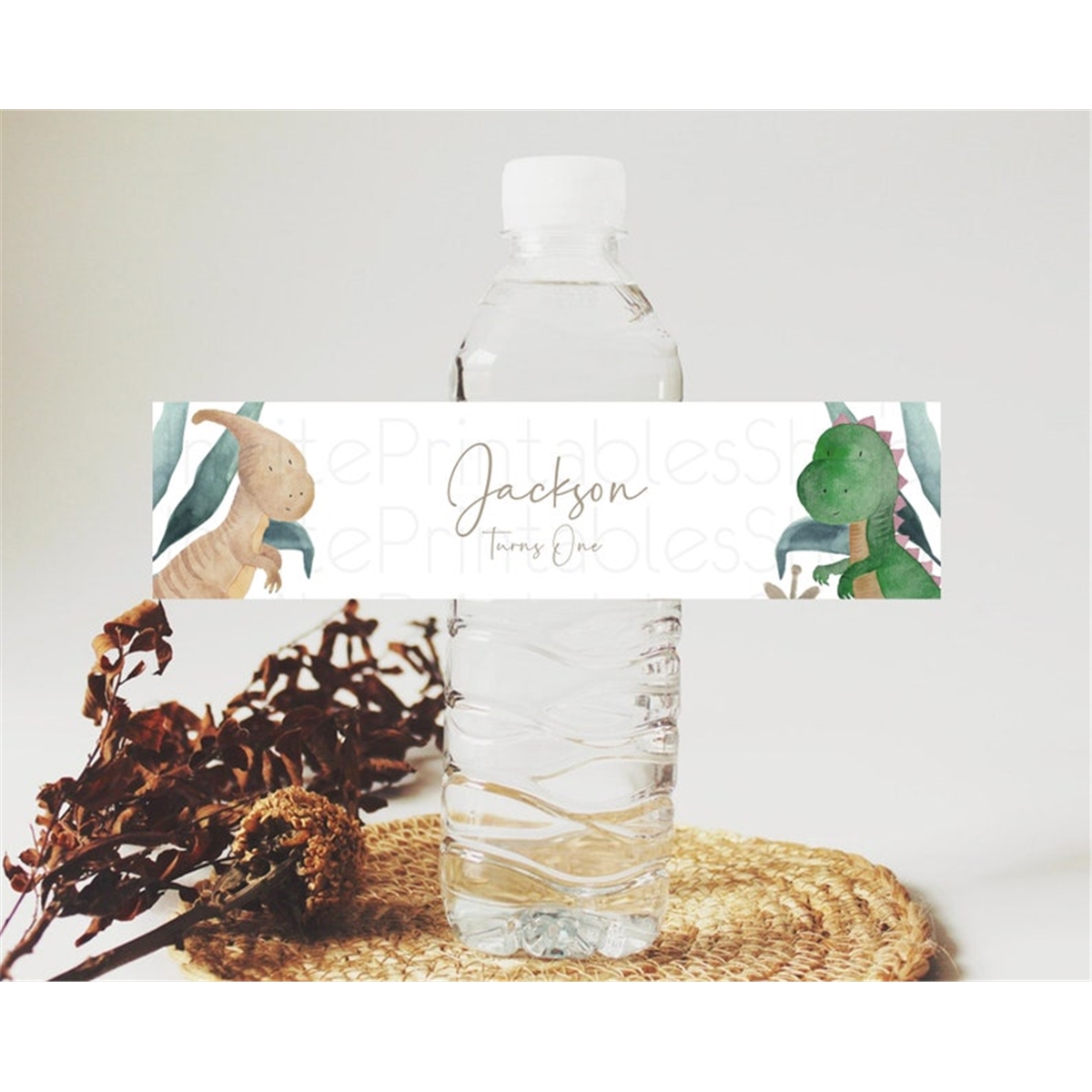 Dinosaur Water Label Template Dinosaur Volcano Watercolor Vo - Inspire ...