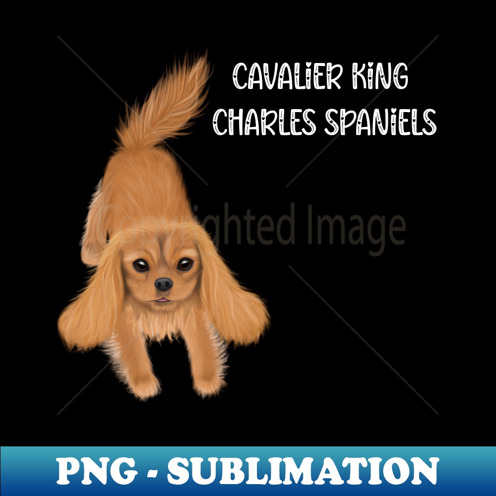 Cavaliers have a way of finding the people who need them Rub | Inspire ...