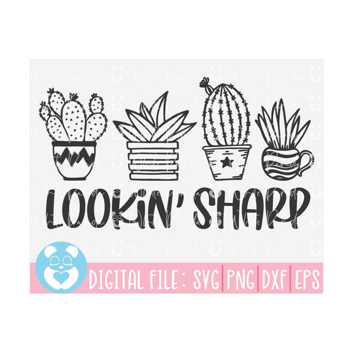 Looking Sharp Svg,Cactus Svg,Cactus Svg,Looking Sharp Cactus | Inspire ...