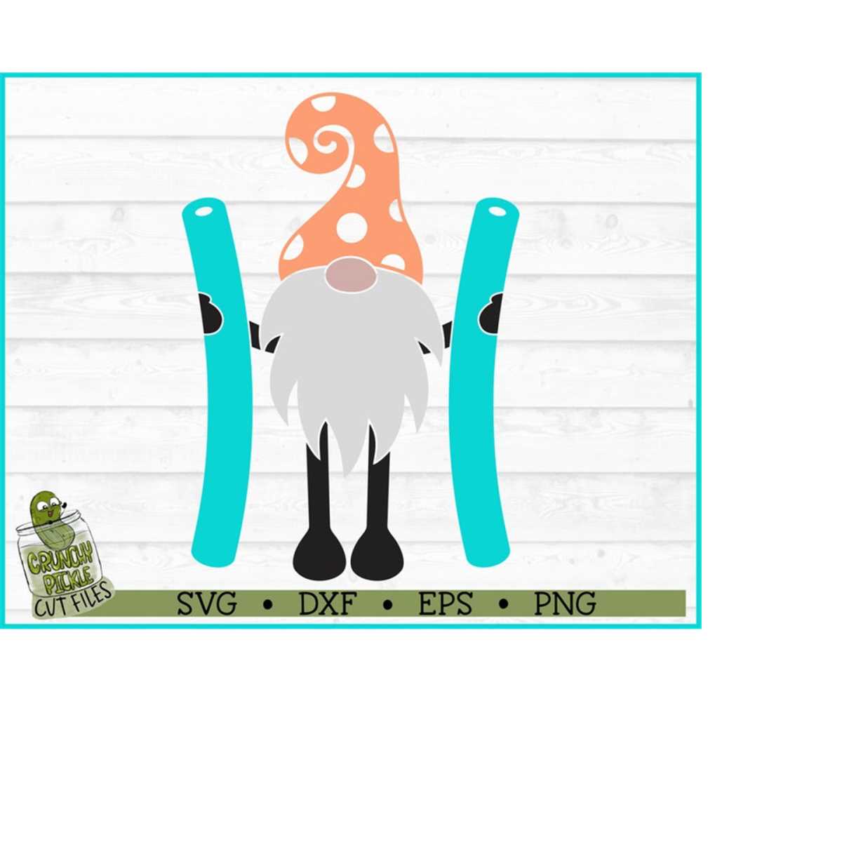 Pool Gnome with Pool Noodle SVG File, dxf, eps, png, Summer - Inspire ...