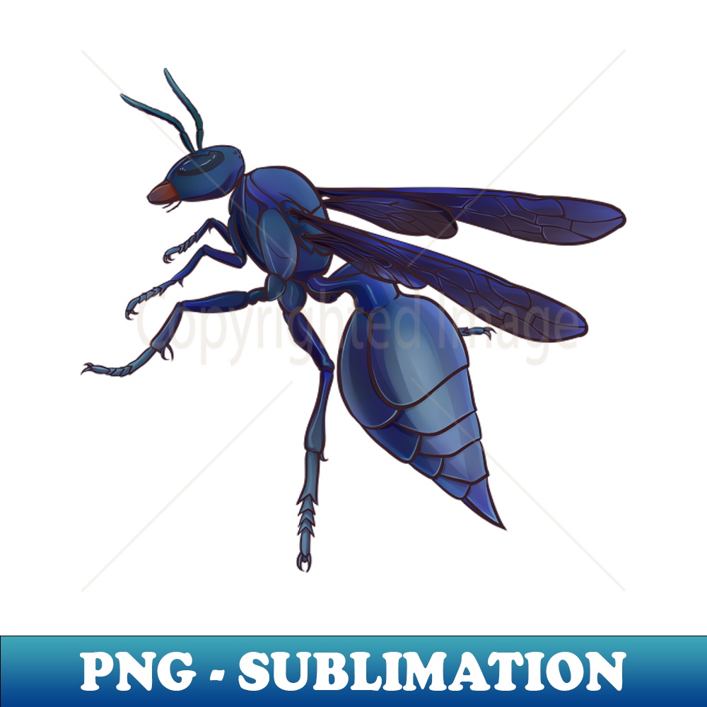Warrior Wasp Insect Detailed Drawing - Creative Sublimation | Inspire ...