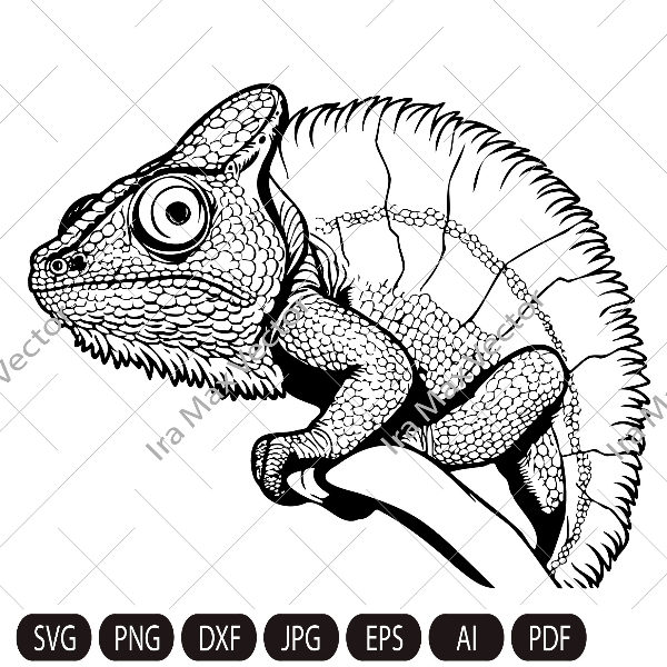 Chameleon SVG / Chamaeleons SVG / Lizard svg/ Blend Adapt Ch - Inspire ...