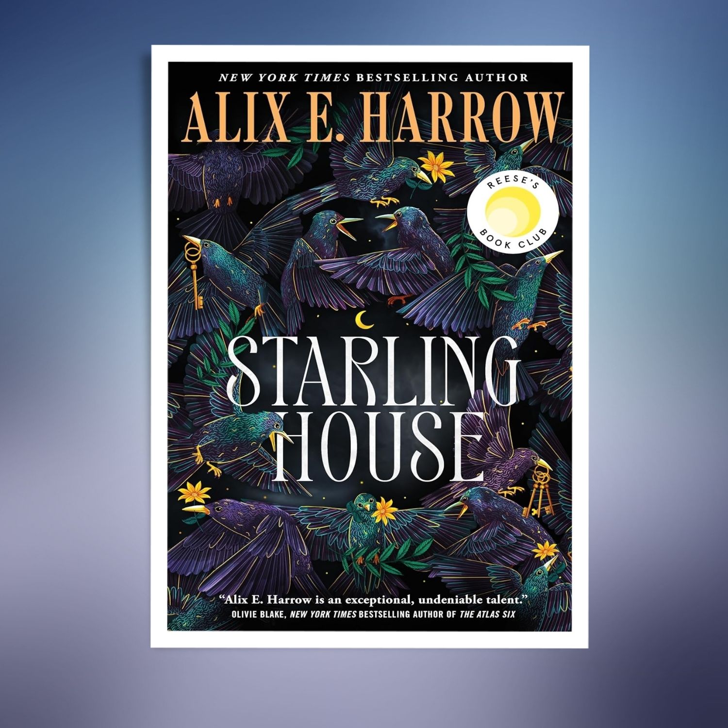 Starling House | Inspire Uplift