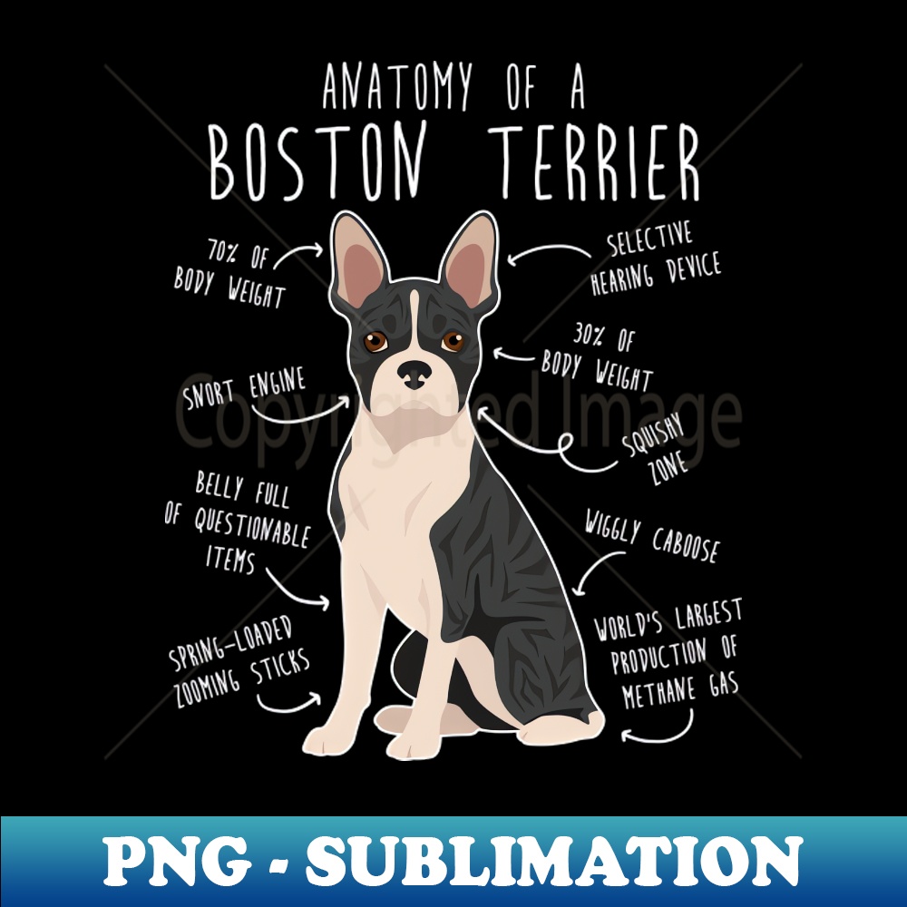 Black Brindle Boston Terrier Dog Anatomy - PNG Transparent S - Inspire ...