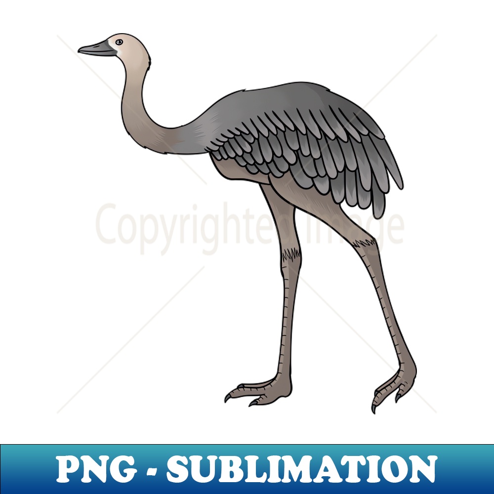 Greater rhea bird cartoon illustration - High-Quality PNG Su | Inspire ...