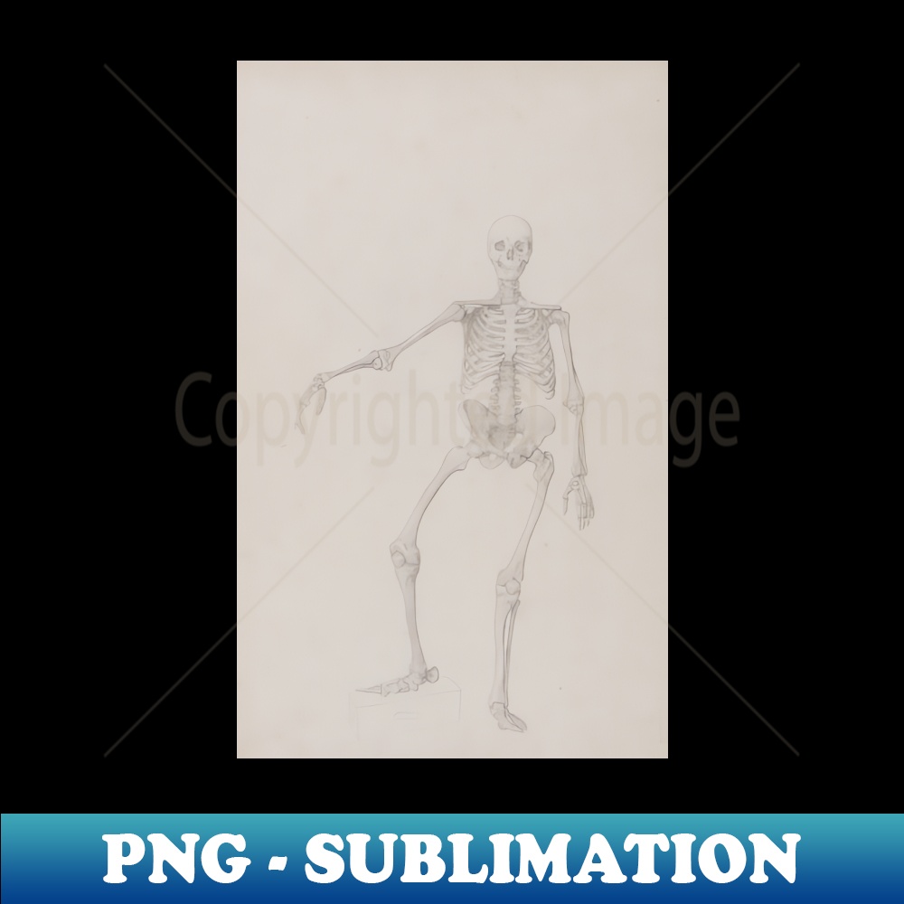 A Comparative Anatomical Exposition of the Structure of the | Inspire ...