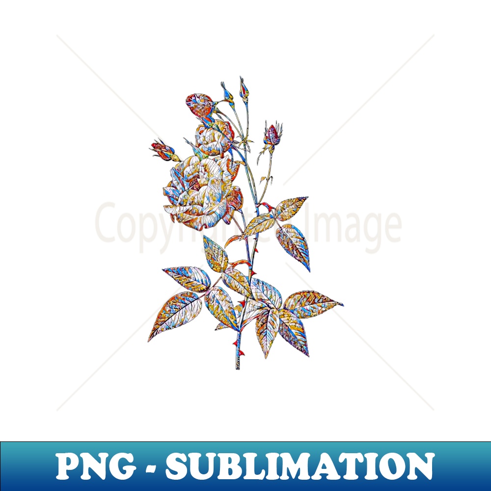 Stained Glass Common Rose of India Botanical Illustration - | Inspire ...