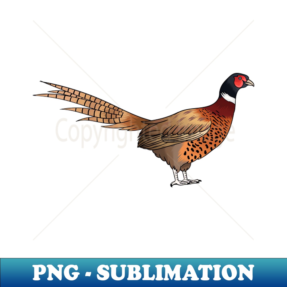 Ring-necked pheasant bird cartoon illustration - Decorative - Inspire ...