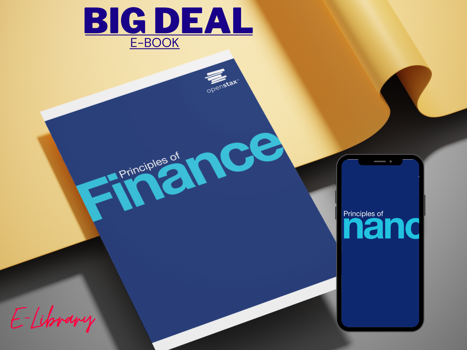 Principles of Finance (Julie Dahlquist,Rainforest Knight) - Inspire Uplift