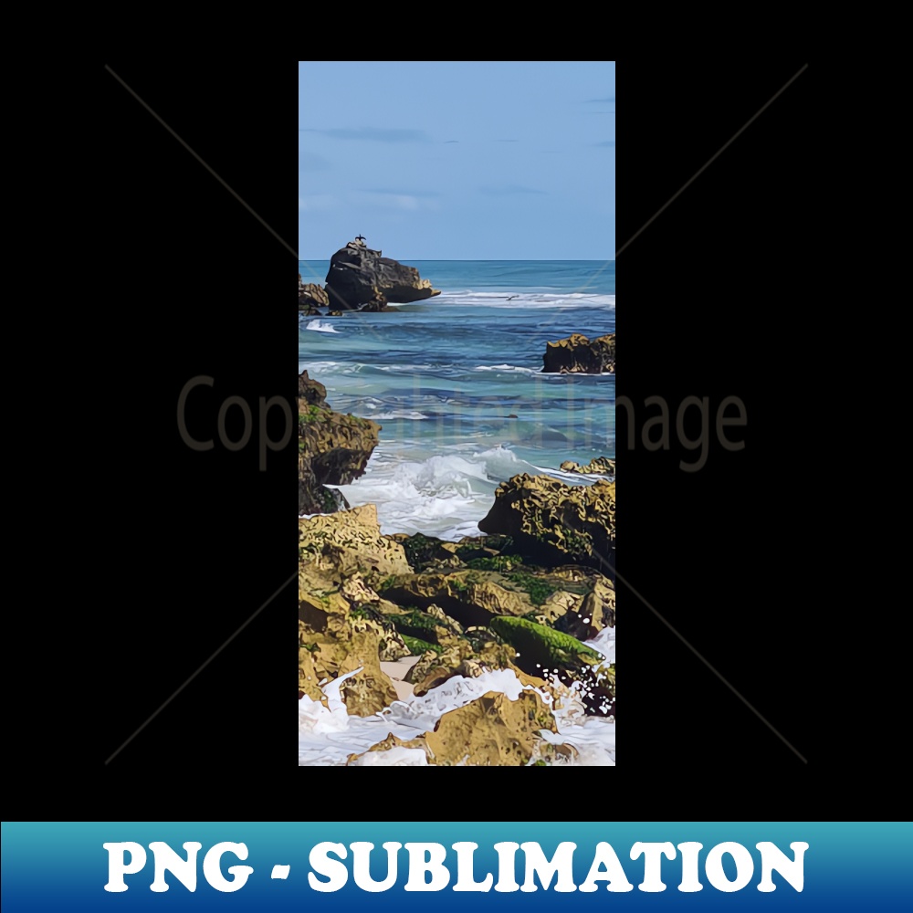 Coastal scene - shag on a rock - Signature Sublimation PNG F | Inspire ...