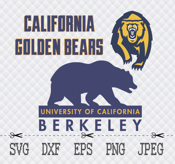 California Golden Bears SVG,PNG,EPS Cameo Cricut Design Temp | Inspire ...