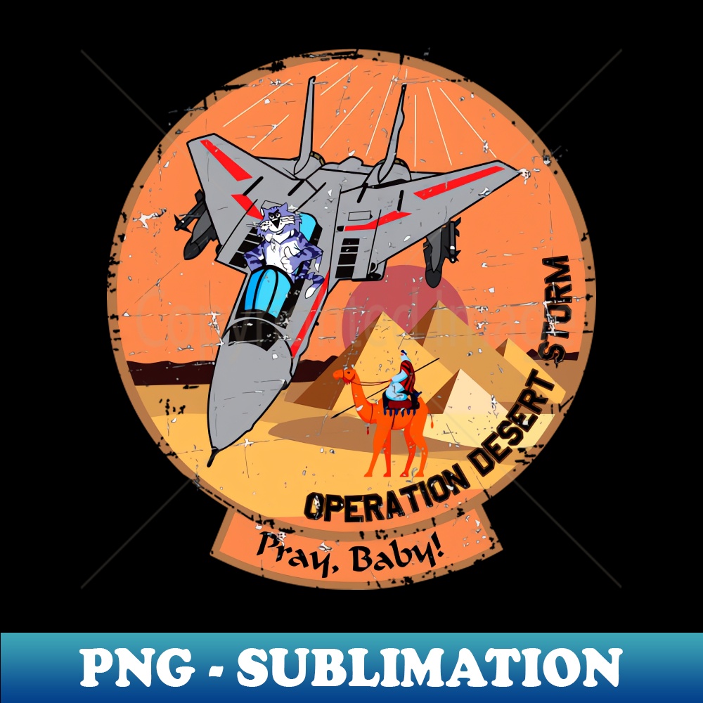 F-14 Tomcat - Operation Desert Storm - Pray Baby - Grunge St | Inspire Uplift
