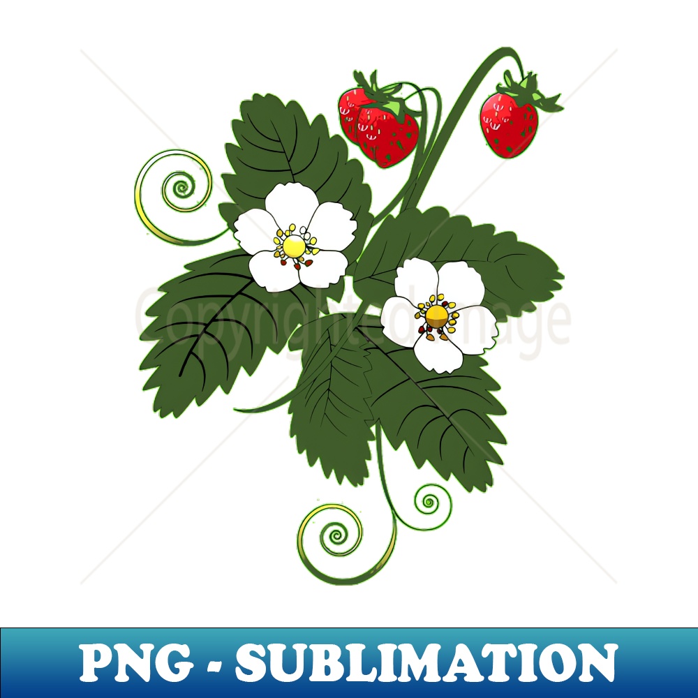 Botanical Strawberry Plant with Fruit and Leaves - PNG Trans | Inspire ...