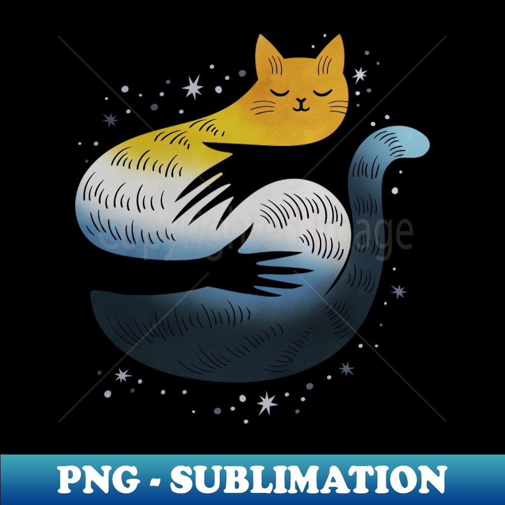 Aroace Cat Hug LGBT Asexual Aromantic Pride Flag - PNG Trans | Inspire ...