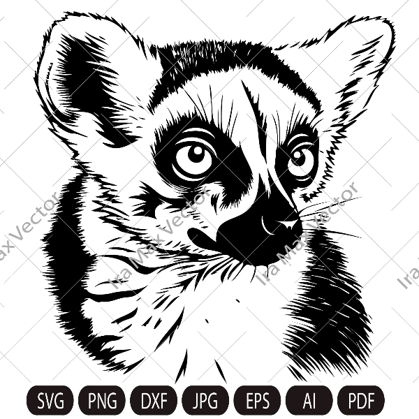 Lemur SVG Lemur Clipart Hand Drawn Lemur Vector image 1 Lemu | Inspire ...