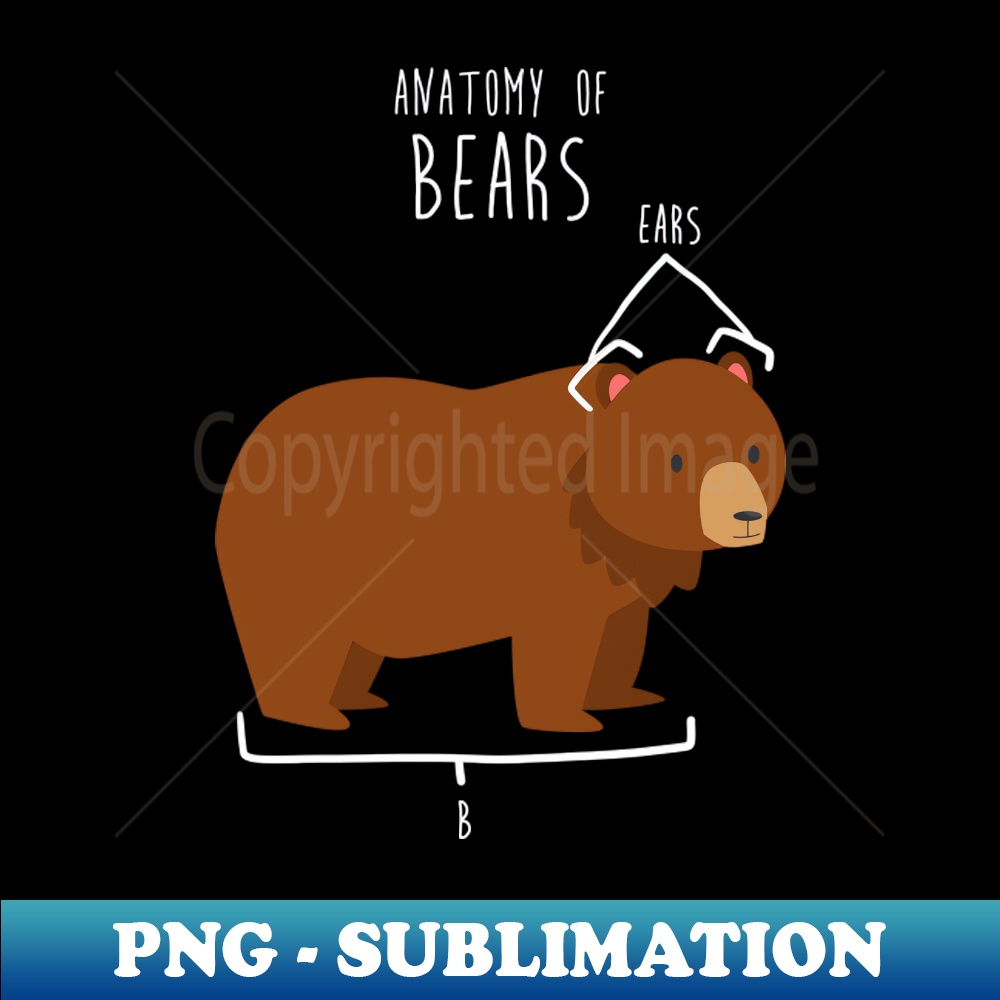 Bear Animal Anatomy - Digital Sublimation Download File - Pe | Inspire ...