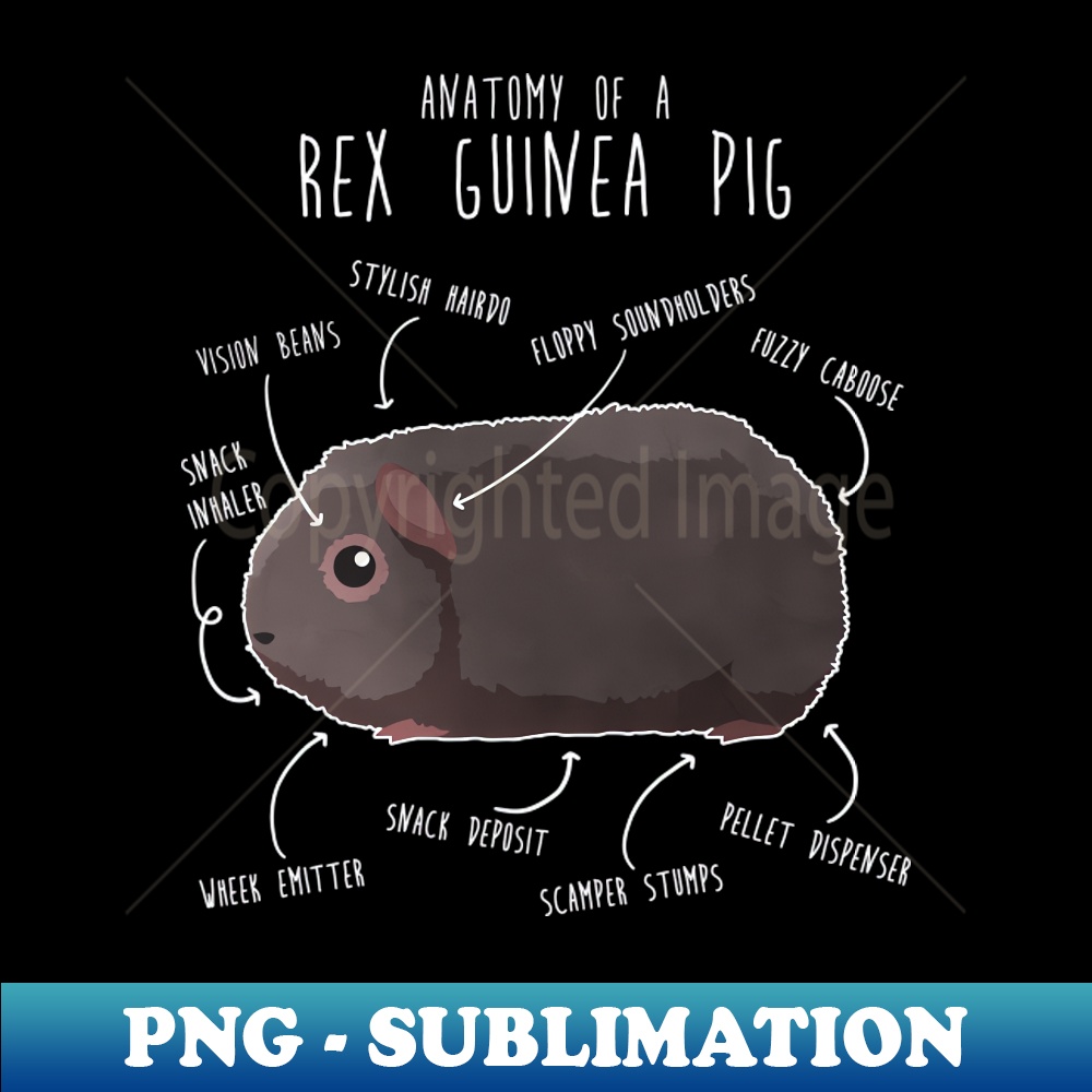 Rex Guinea Pig Anatomy - Premium PNG Sublimation File - Revo | Inspire ...