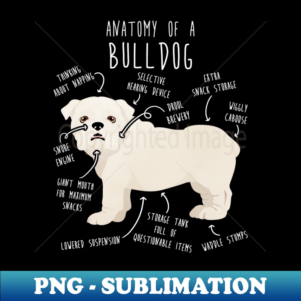 English Bulldog White Dog Anatomy - Signature Sublimation PN | Inspire ...